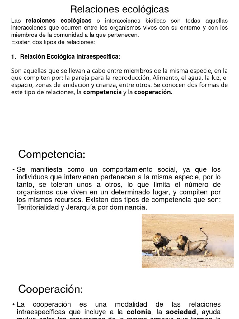 Relaciones Ecológicas 3 | PDF | Ecología | Biogeografia