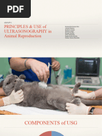 Burdizzo Method of Bovine Castration | PDF | Medicine | Male Mammals