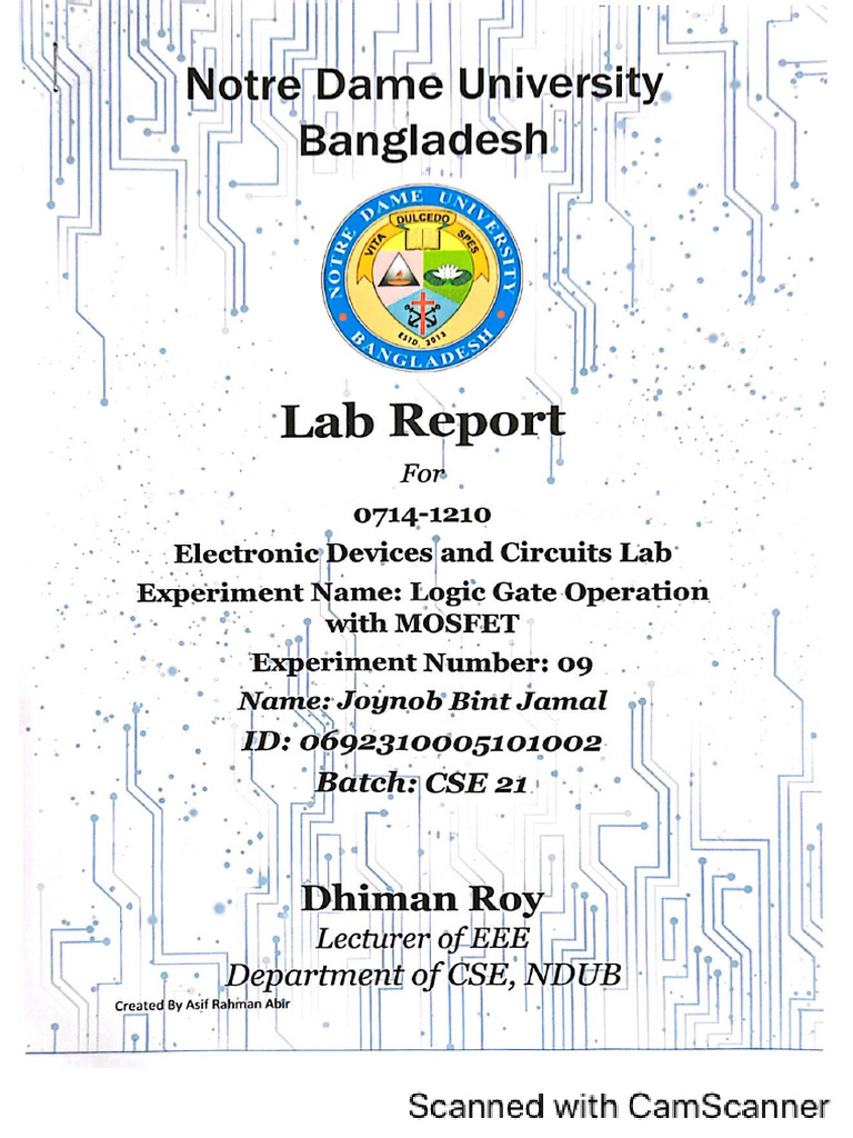 EEE Lab Report Example | PDF