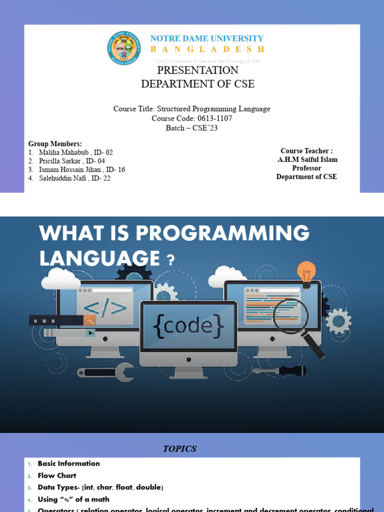 C Programming Language Overview | PDF | Parameter (Computer Programming) | Data Type