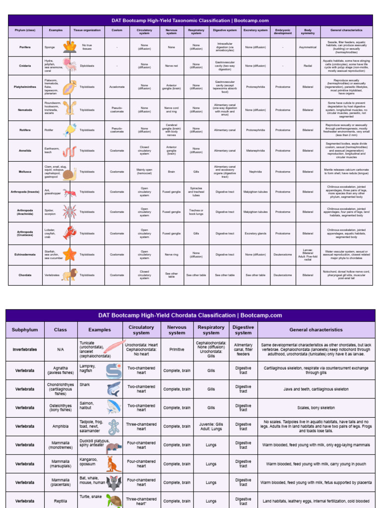 Taxonomy Cheat Sheet | PDF | Organisms