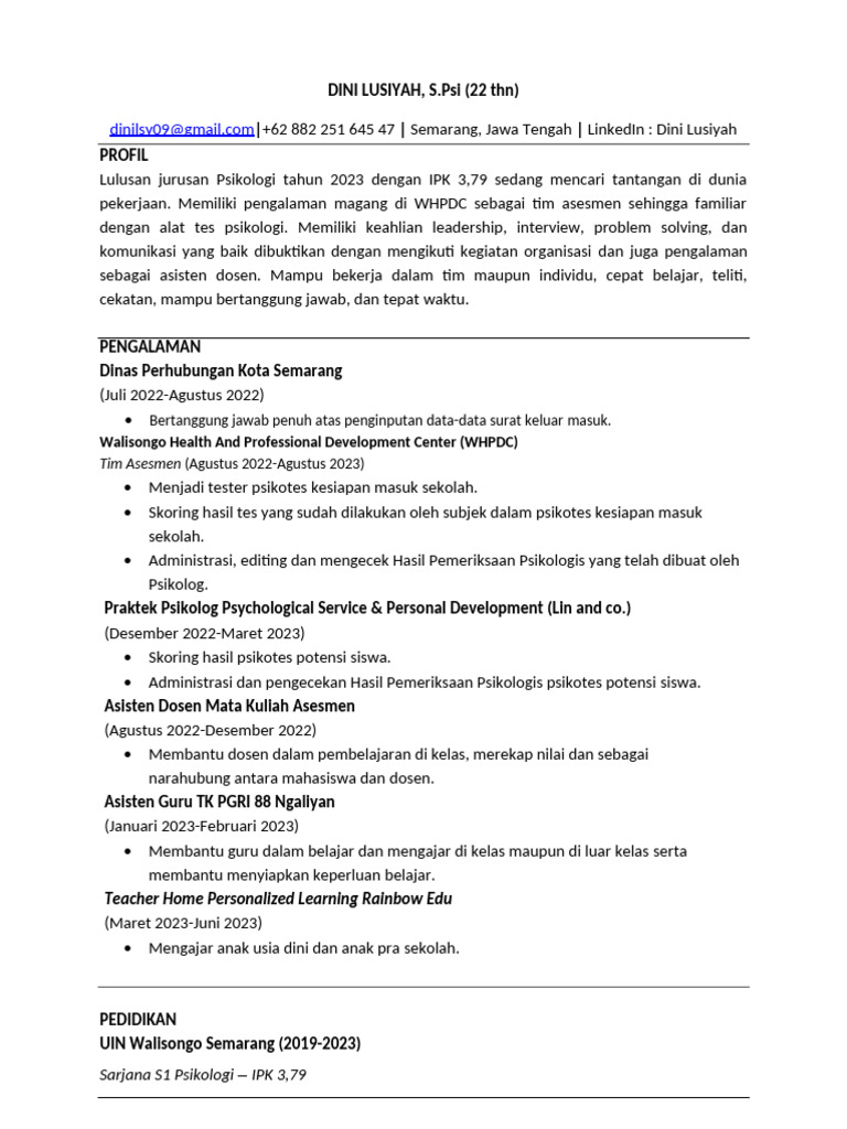 DINI LUSIYAH CV - Compressed | PDF