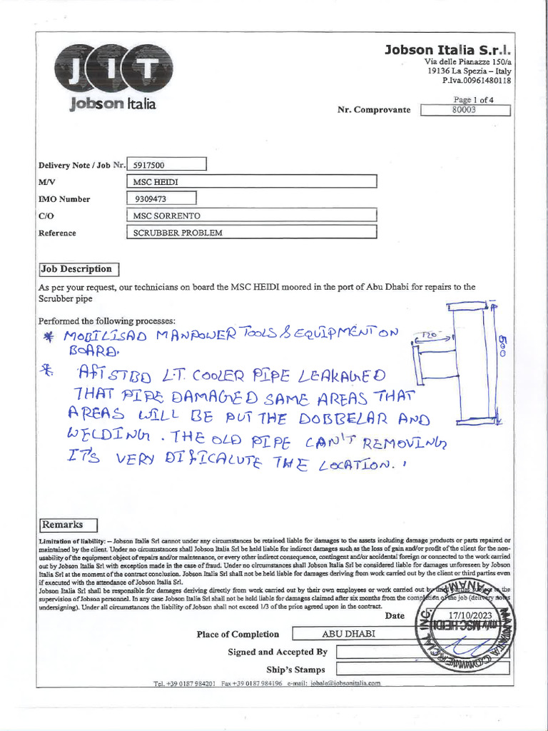 MSC HEIDI Service Report | PDF