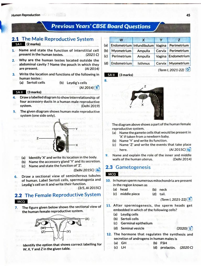 PYQs Human Reproduction | PDF
