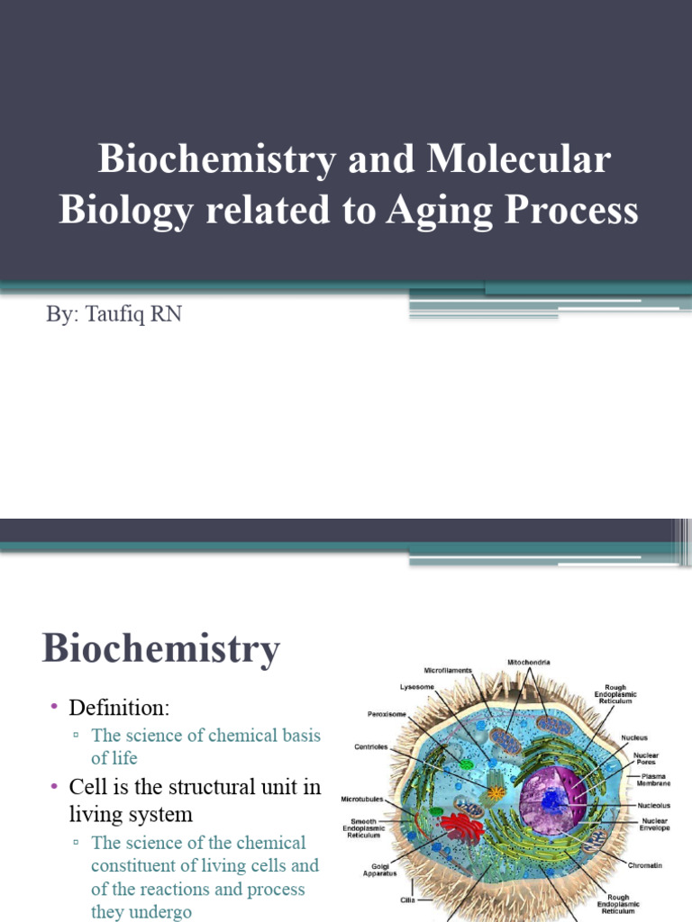Biochemistry and Molecular Biology Related To Aging Process (DR Taufiq) | PDF | Mitochondrion ...