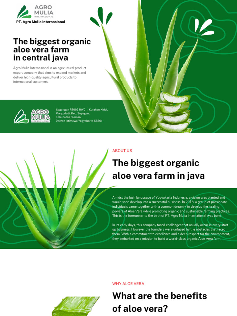 AMI Aloe Vera Product Catalog | Download Free PDF | Placebo | Gluten ...