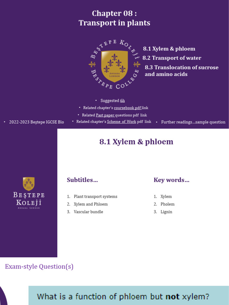 2a - Chapter 08 Transport in Plants | PDF | Root | Leaf