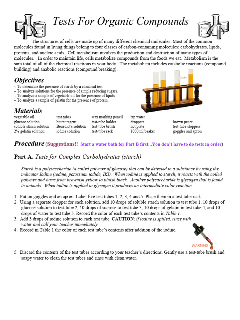 Starch Detection in Organic Compounds | PDF | Carbohydrates | Starch