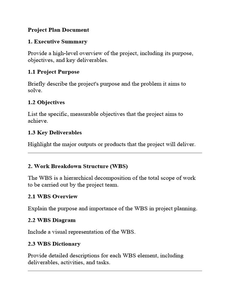 Project Plan Document | PDF | Risk | Risk Management