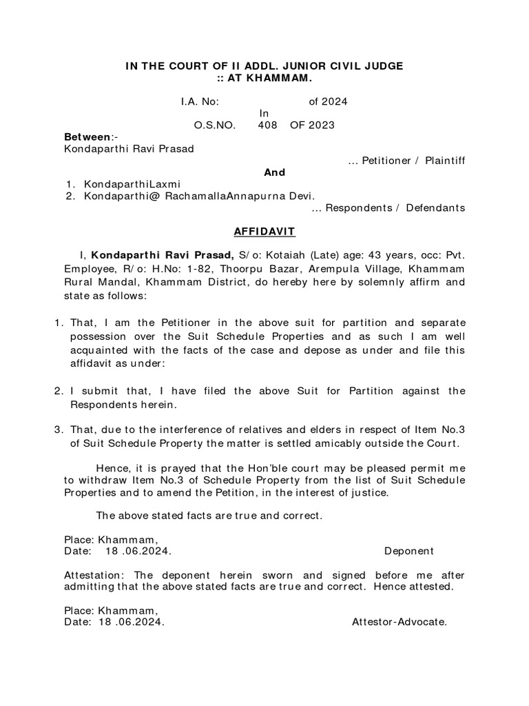 Amendment Petition | PDF | Lawsuit | Affidavit