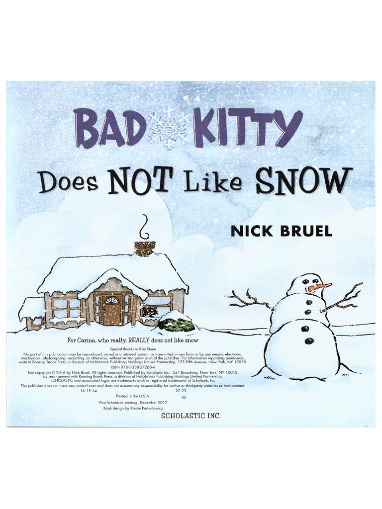 BadKitty Snow | PDF