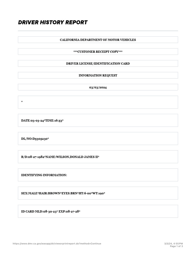 California Driver History Report | PDF | Social Science