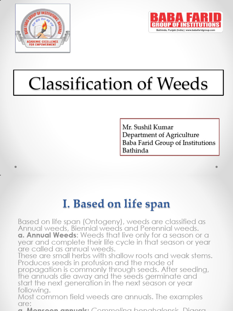 classification-181017071652 | PDF | Weed | Plant Stem