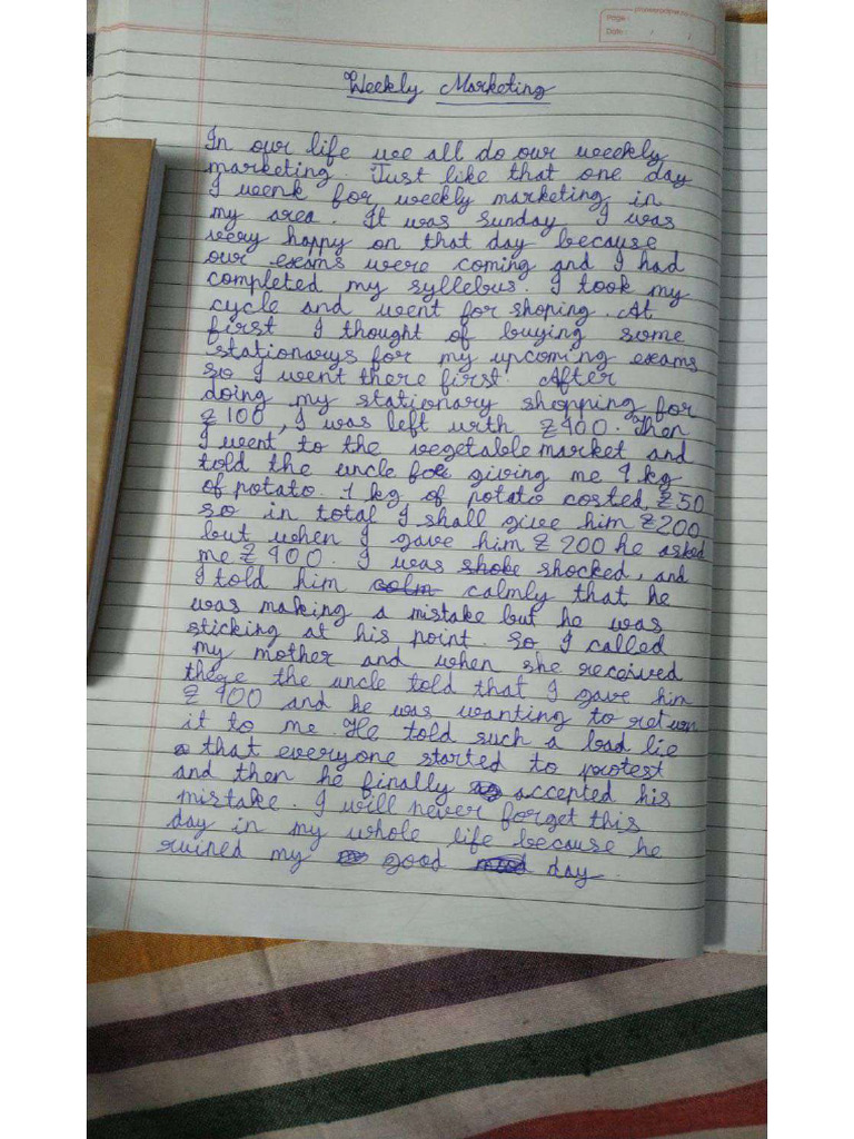 Diary Homework | PDF