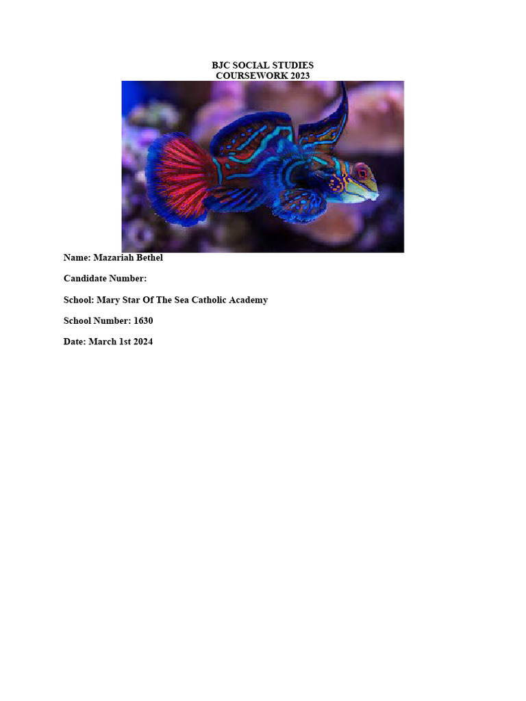 BJC Social Studies Coursework 2023 | PDF | Angling | Fishing Rod