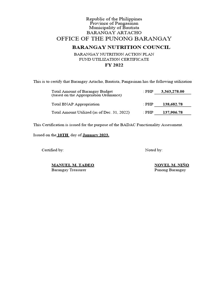 BARANGAY NUTRITION ACTION PLAN | Download Free PDF | Health Sciences ...