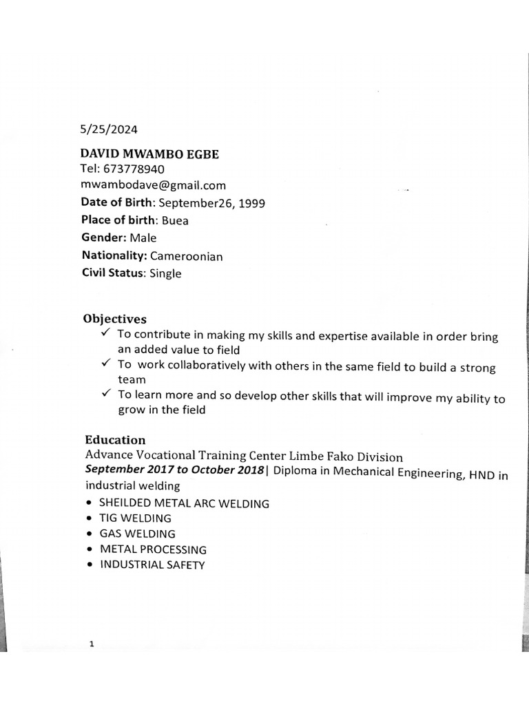 Cv1 Pdf