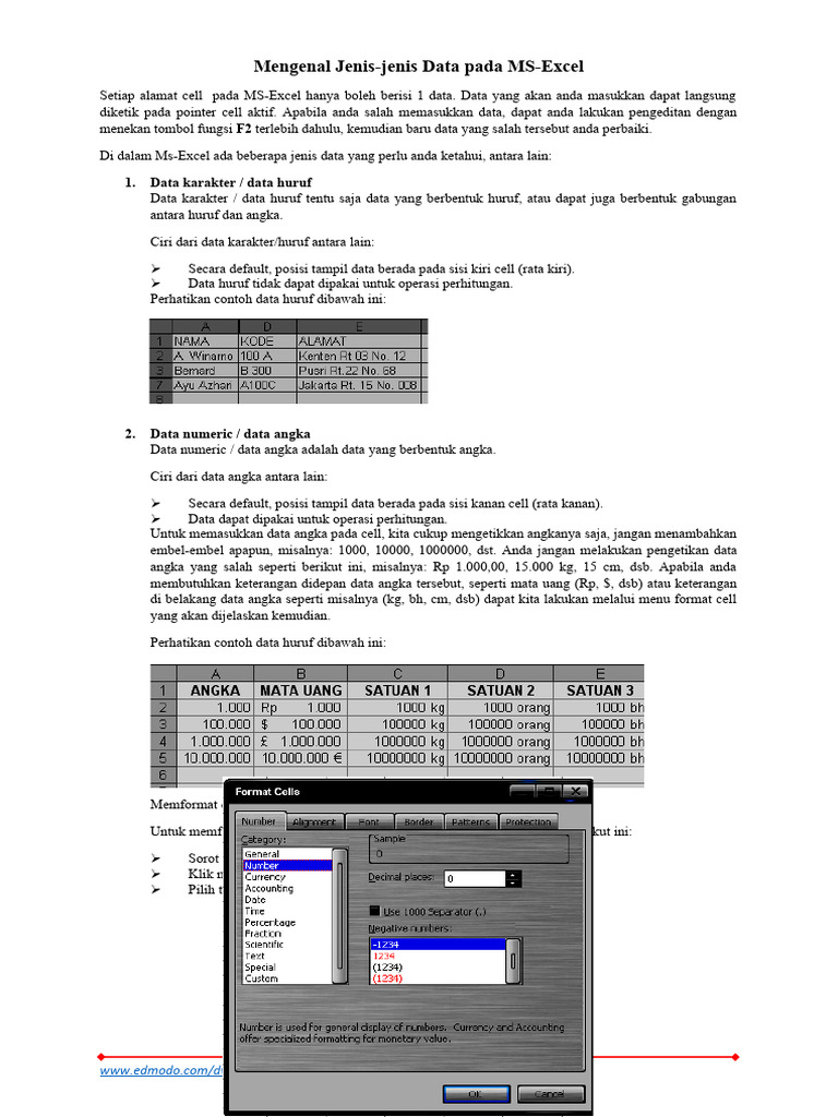 Jenis Data Excel | PDF