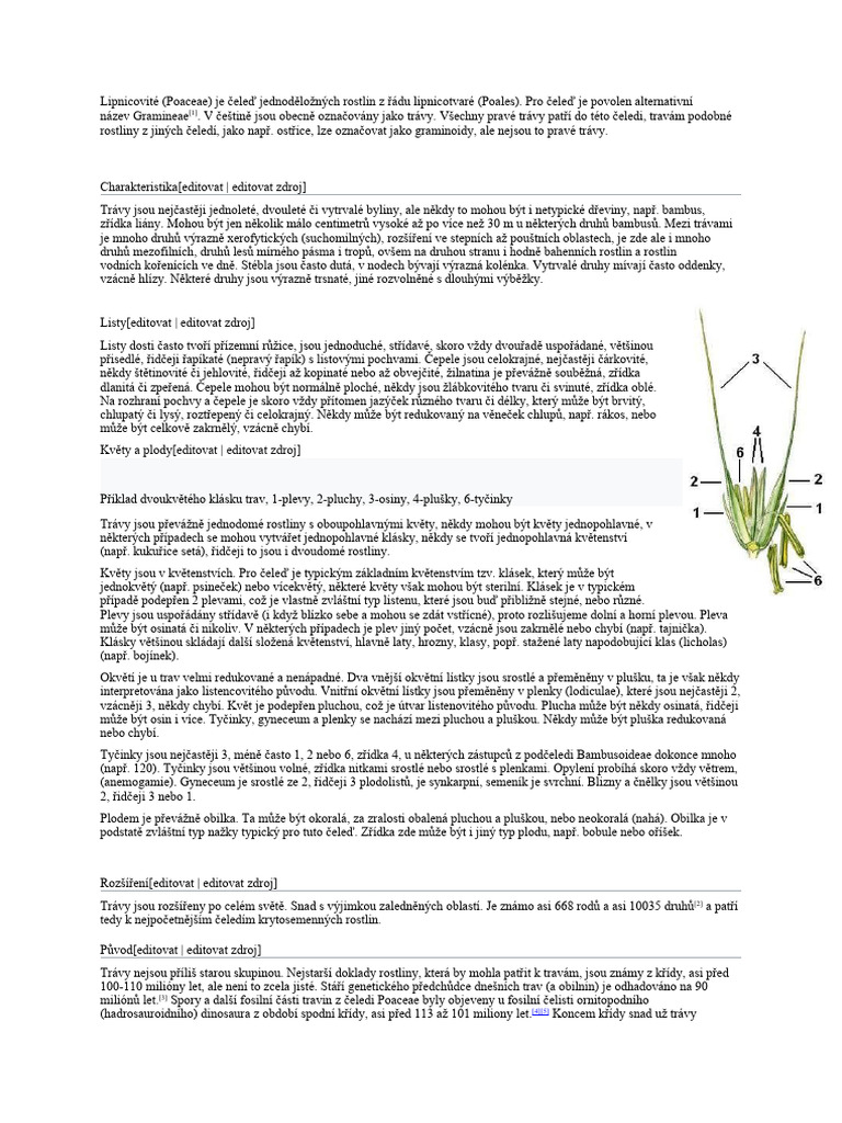 Lipnicovité Kytky Pro ZŠ | PDF