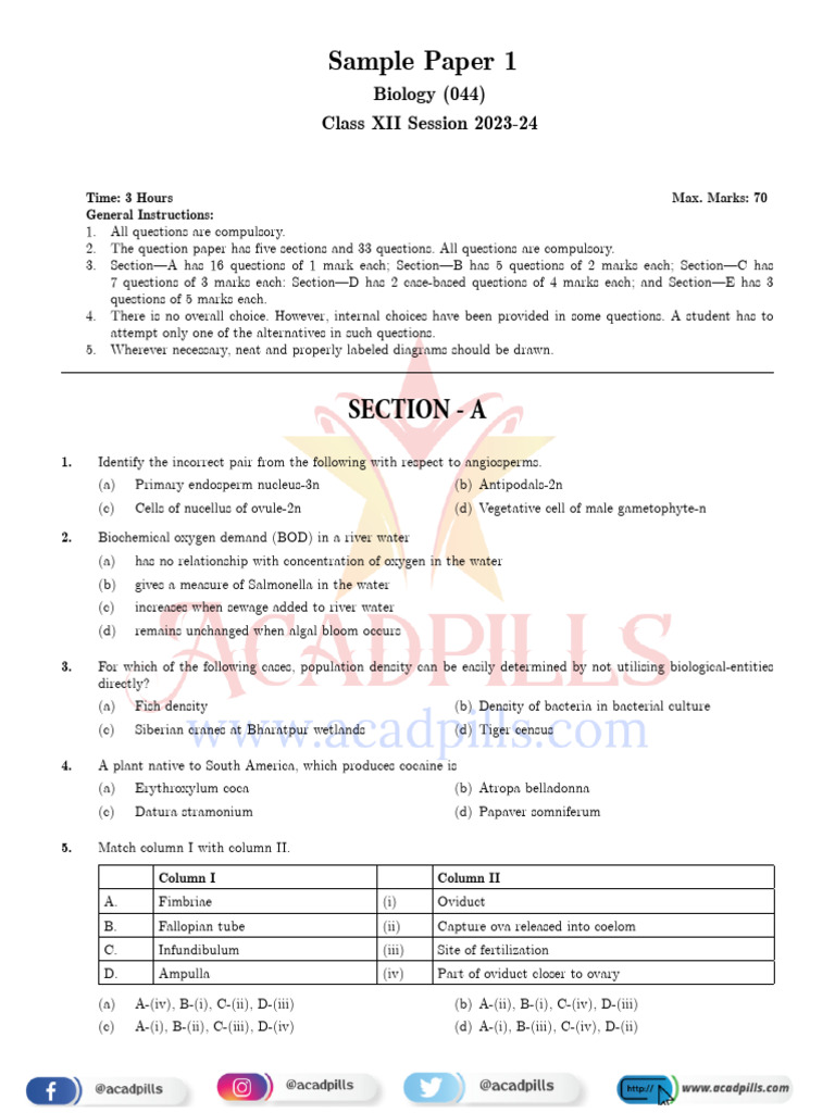 Biology SQP-01 2024 Exam | PDF | Biochemistry | Chemistry