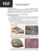 Foliasi and Non Foliasi | PDF