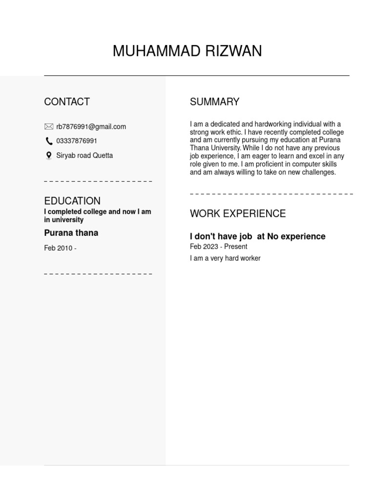 Muhammad Rizwan: Aspiring Professional Resume | PDF