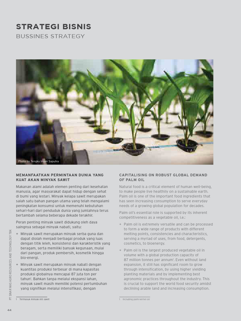 Smart Strategi-Bisnis | PDF