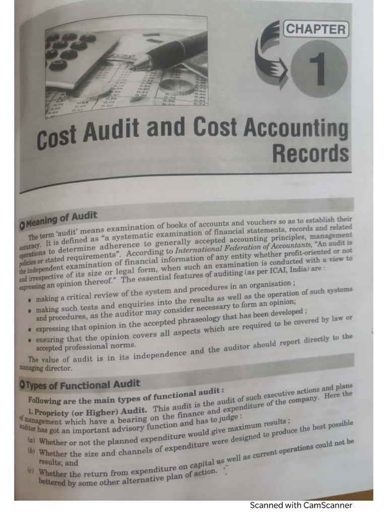 Cost Audit | PDF
