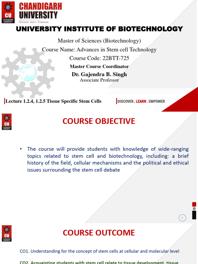 Lecture 1 2 4 1 2 5 Tissue Specific Stem Cells Pdf Stem Cell