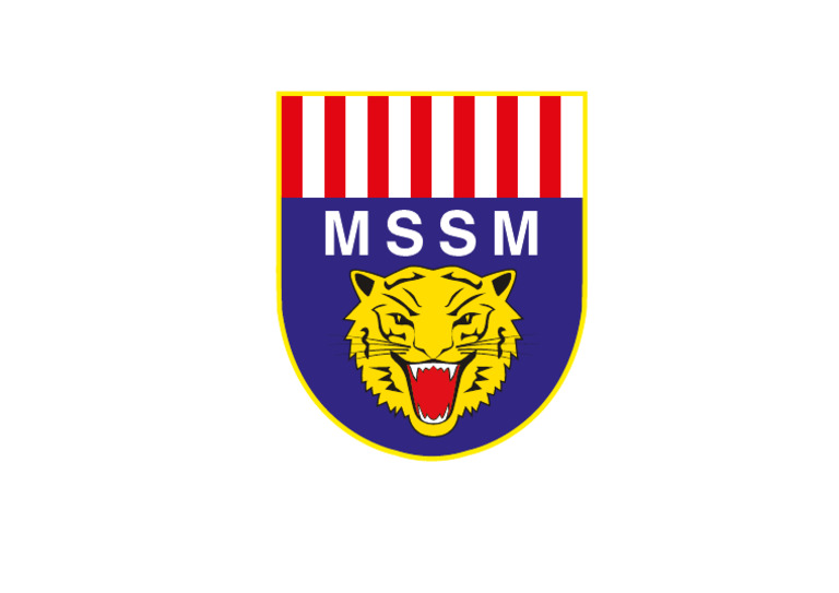Logo MSSM | PDF