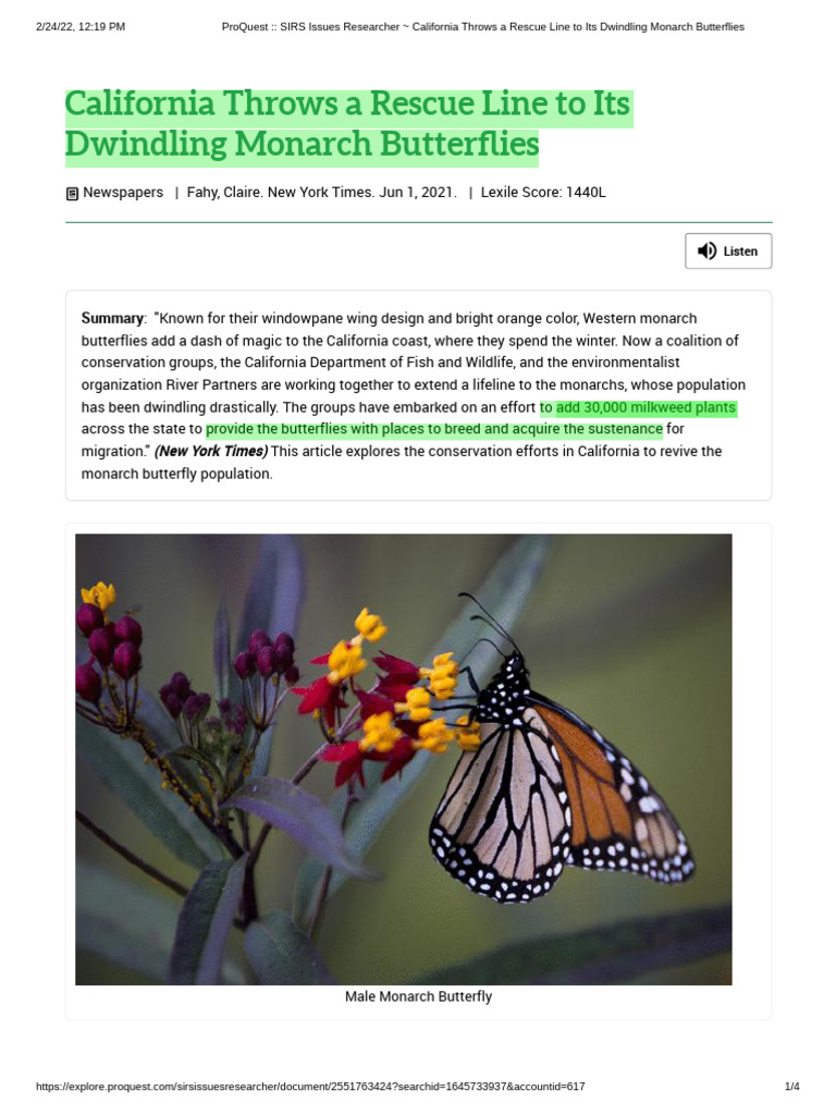 California Throws A Rescue Line To Its Dwindling Monarch Butterflies ...