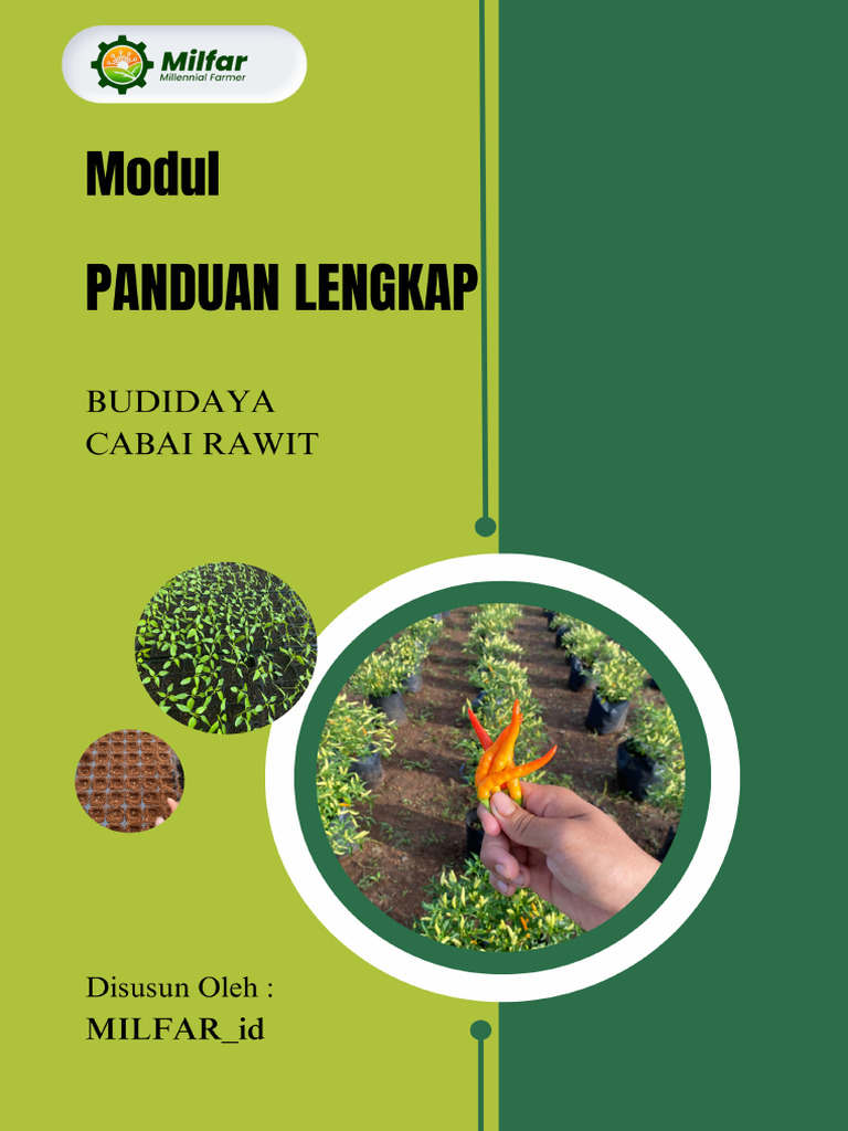 Modul Panduan Lengkap Budidaya Cabai | PDF