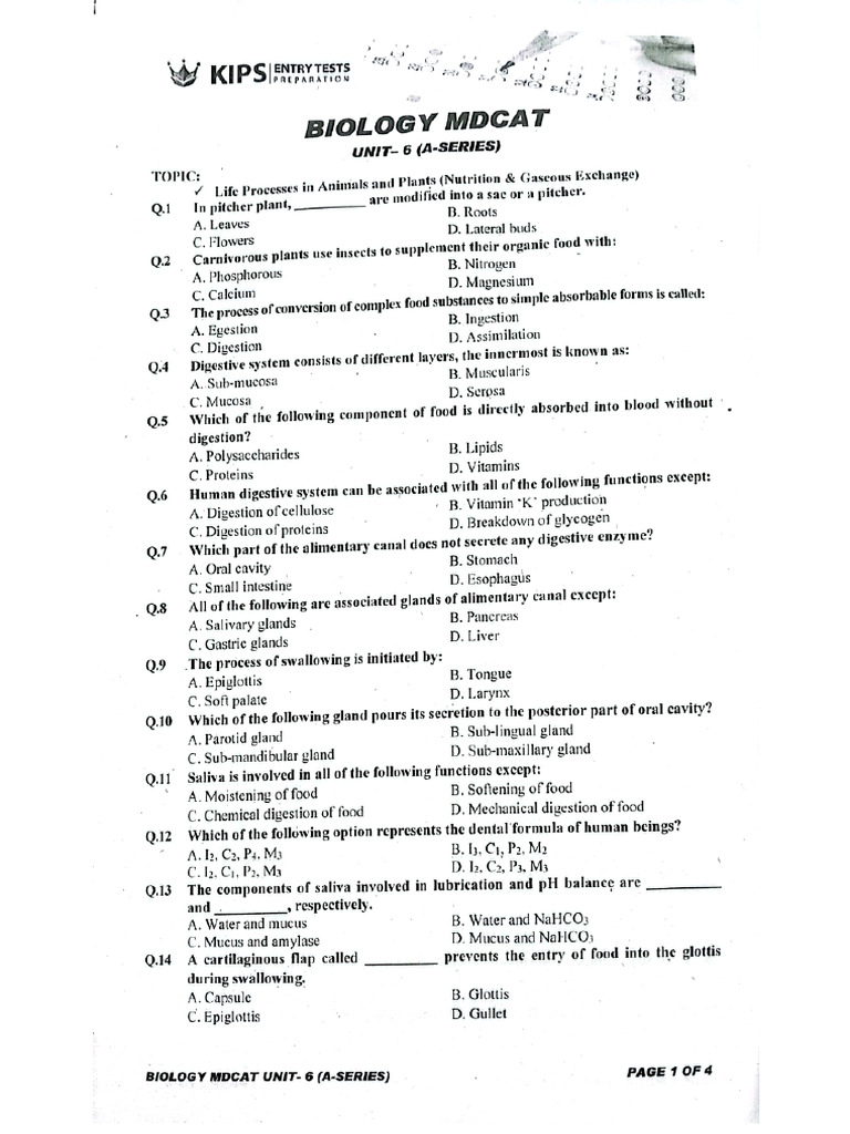 PDF Biology Test 6 Digestion by Kipd | PDF