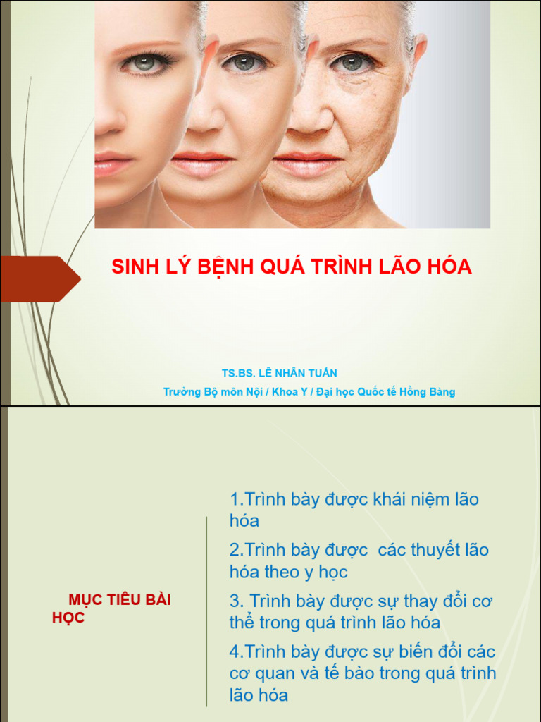 BÀI-GIẢNG-SLB-VỀ-LÃO-HOA-VÀ-QUÁ-TRÌNH-LÃO-HÓA | PDF