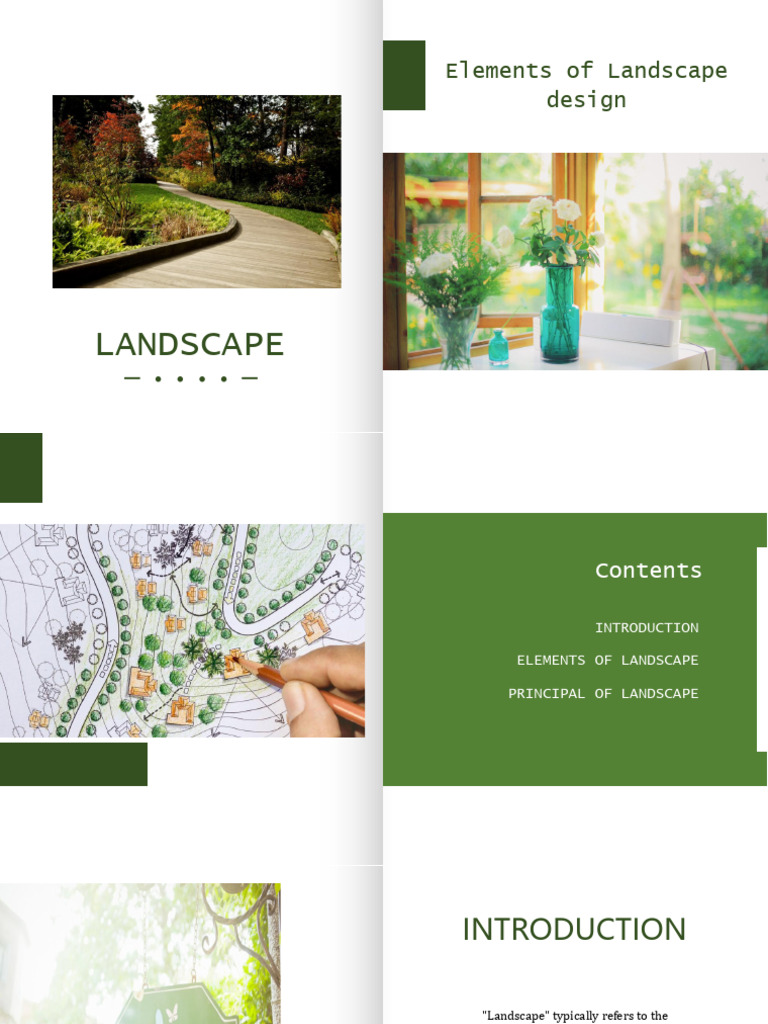 Landscape 1 | PDF | Leaf | Color