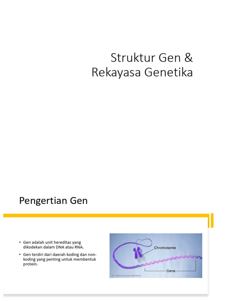 Strukture Gen Dan Rekayasa Genetika | PDF
