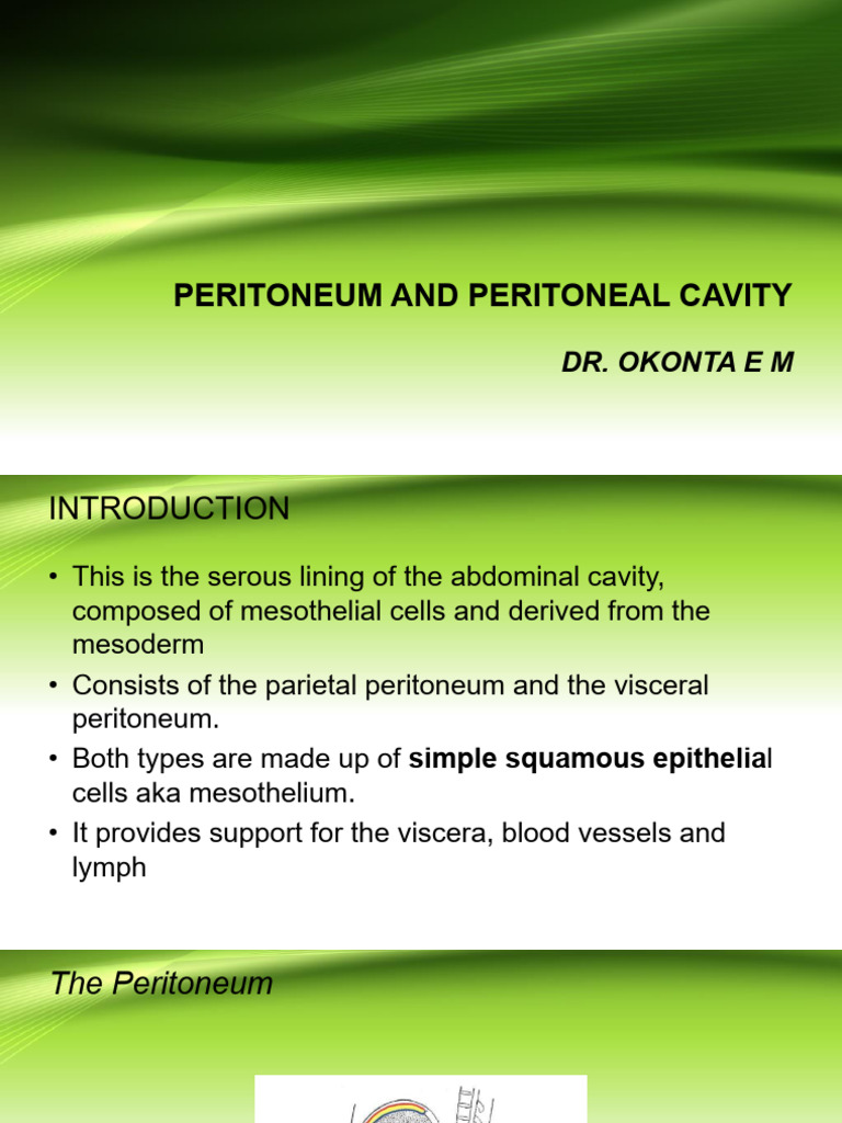 Peritoneum and Peritoneal Cavity | PDF | Peritoneum | Abdomen