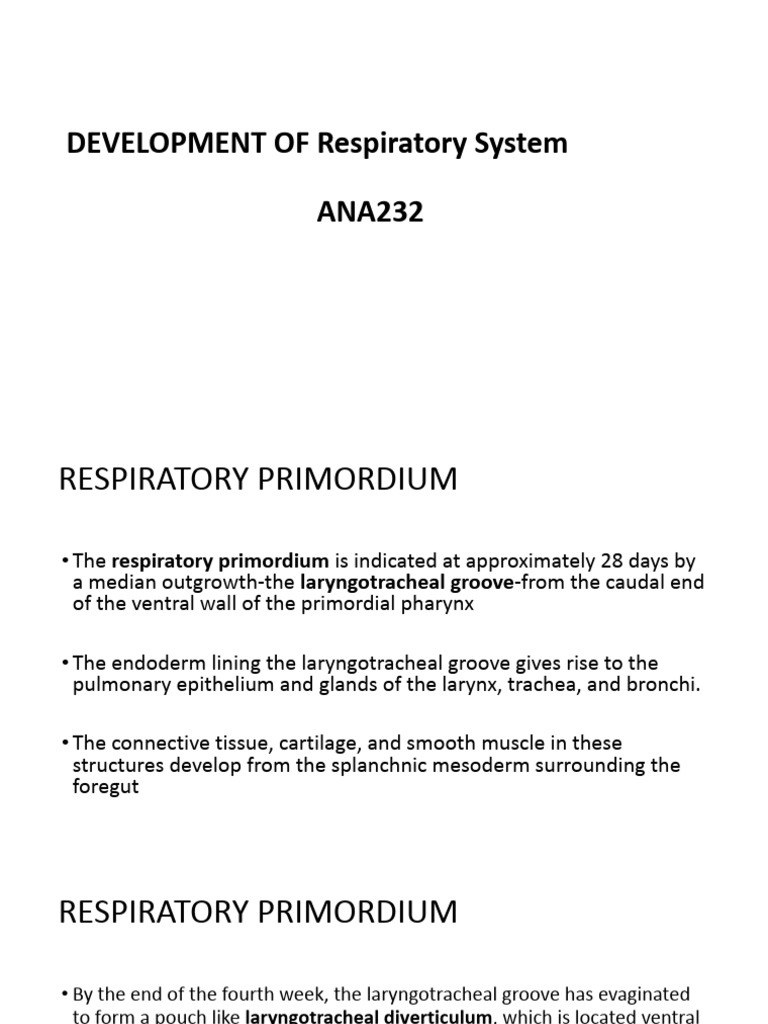 Development Of Respiratory System Autosaved 1 Pptx Pdf Larynx