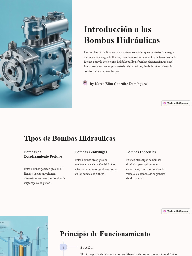 Introduccion A Las Bombas Hidraulicas | PDF | Bomba | Ingeniería mecánica
