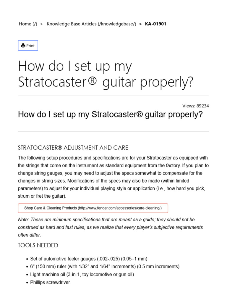 Fender Stratocaster Setup Guide | PDF | Guitars | Necked Lutes