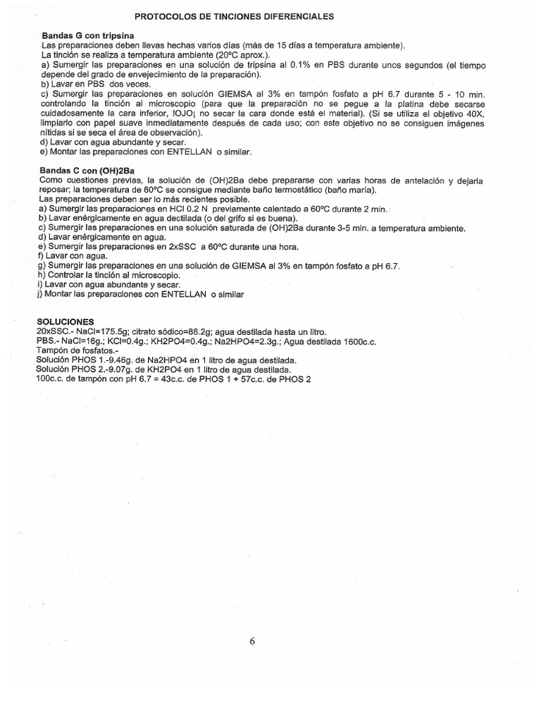 Protocolo Cariotipo Bandeo | PDF