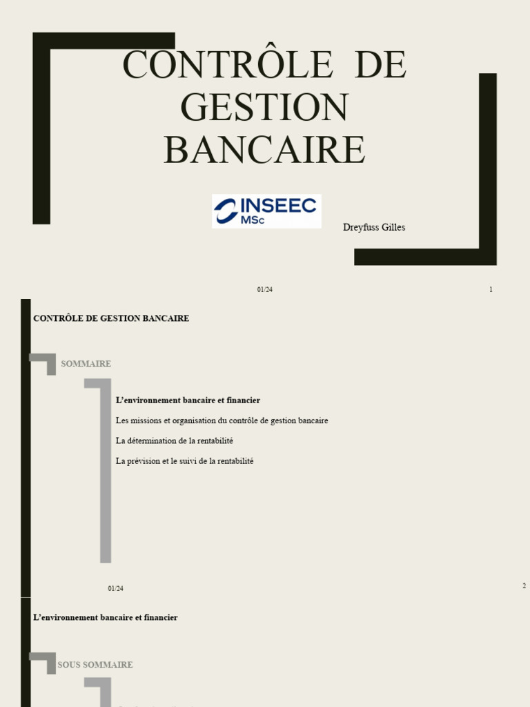 Gestion Bancaire: Rentabilité et Risques | PDF | Banques | Comptabilité