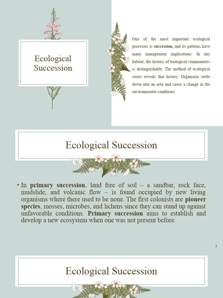 Ecological and Tropical | PDF | Savanna | Forests