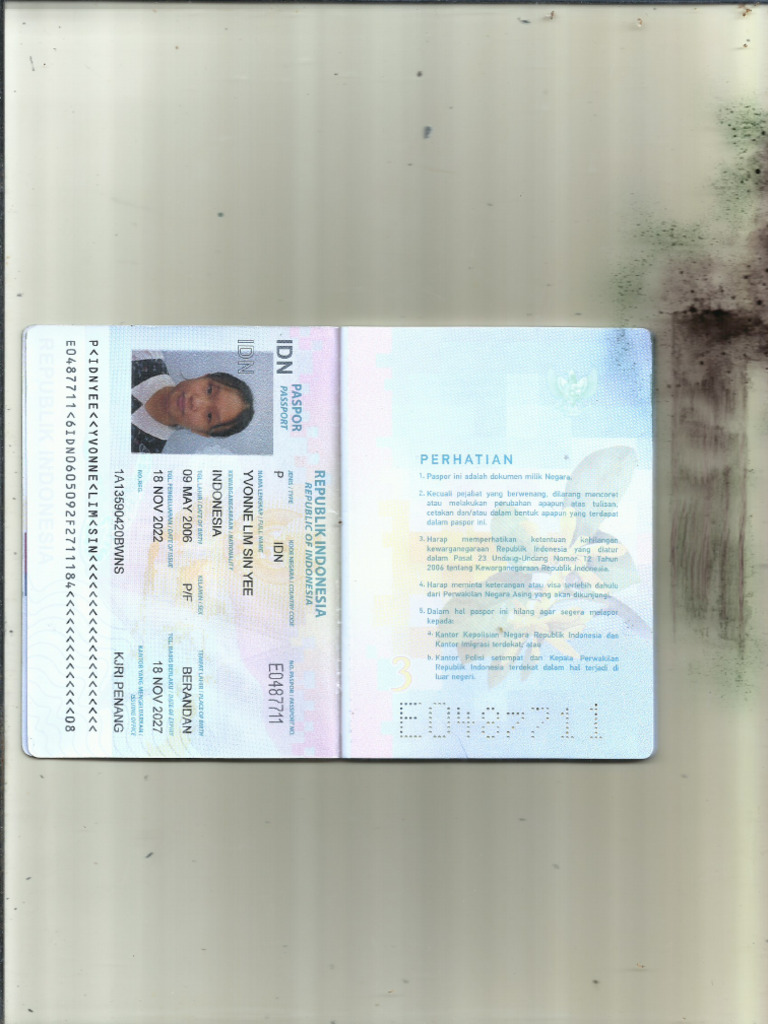 First Page Passport | PDF