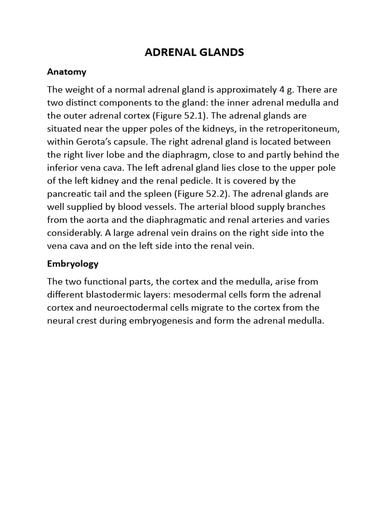 Adrenal Gland Anatomy Function Pdf Adrenal Gland Angiotensin