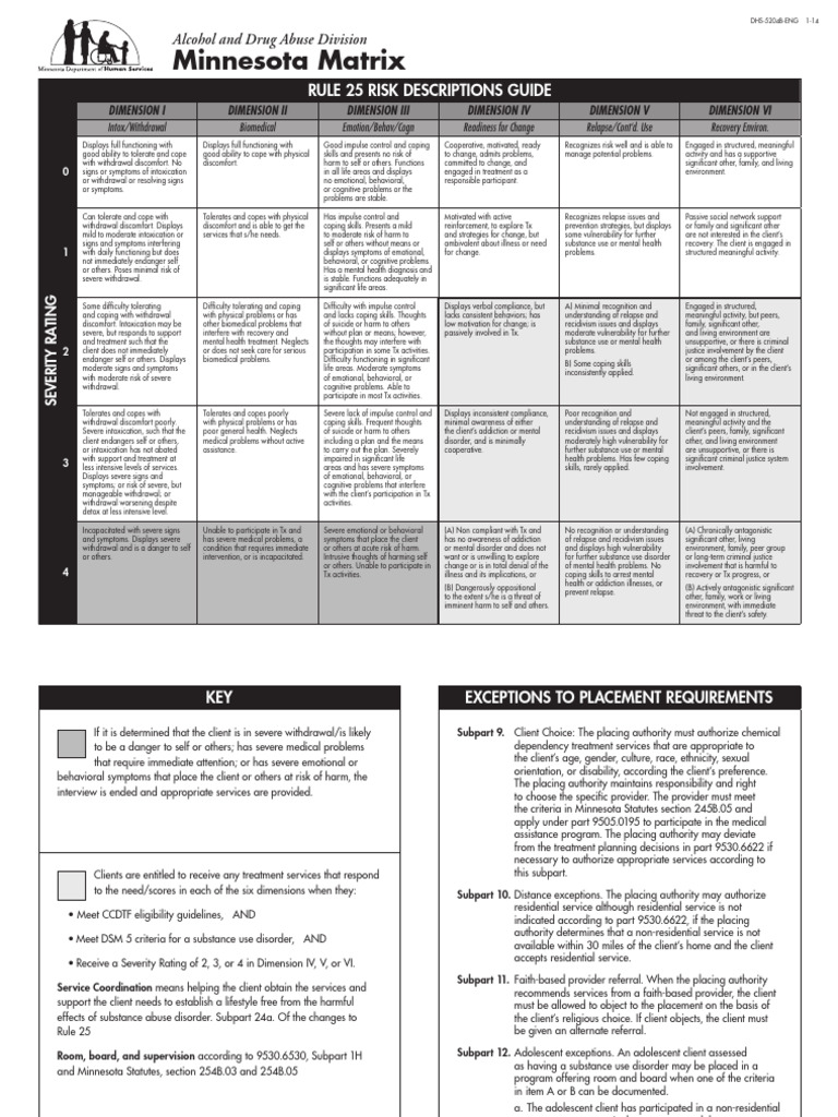 minnesota-matrix | PDF | Substance Abuse | Mental Disorder