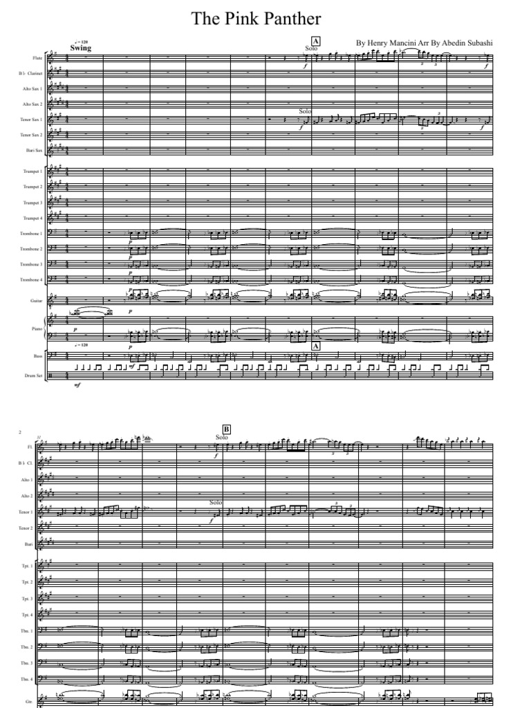 Pink Panther Final Work | PDF