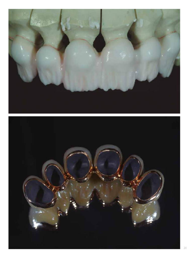 PC25 Bopt in Lab Principles of Operation Working Protocol New ...