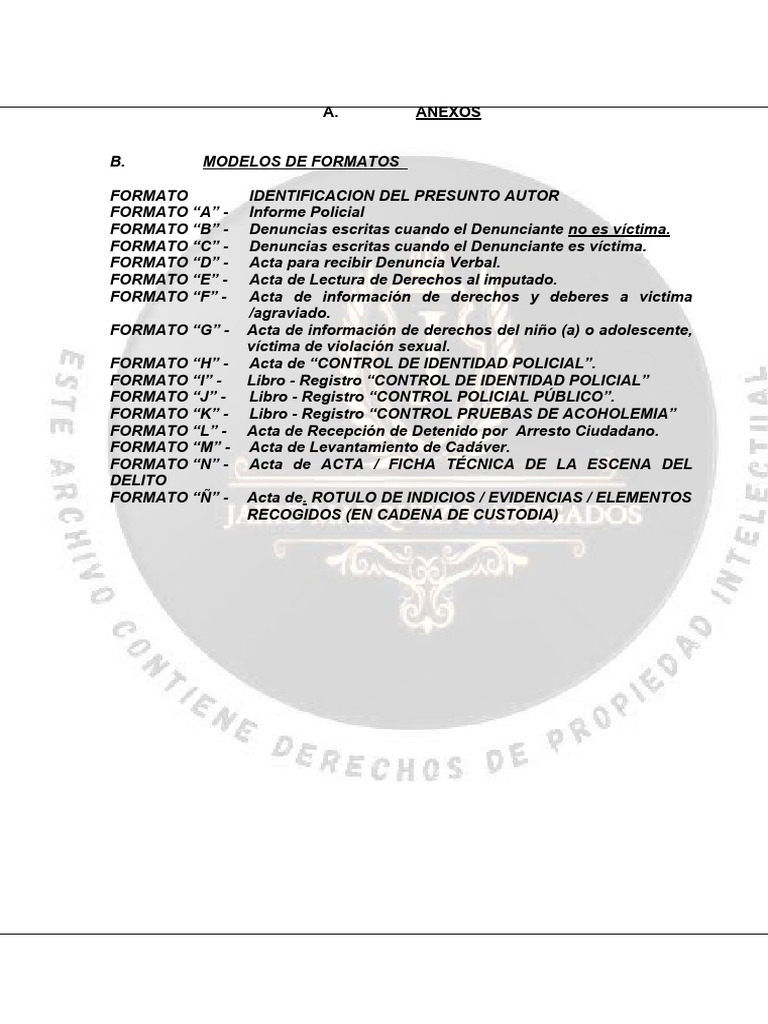 Modelos de Actas en El Nuevo Cpp Actualizado 2024 | PDF | Documento de identidad | Derecho penal