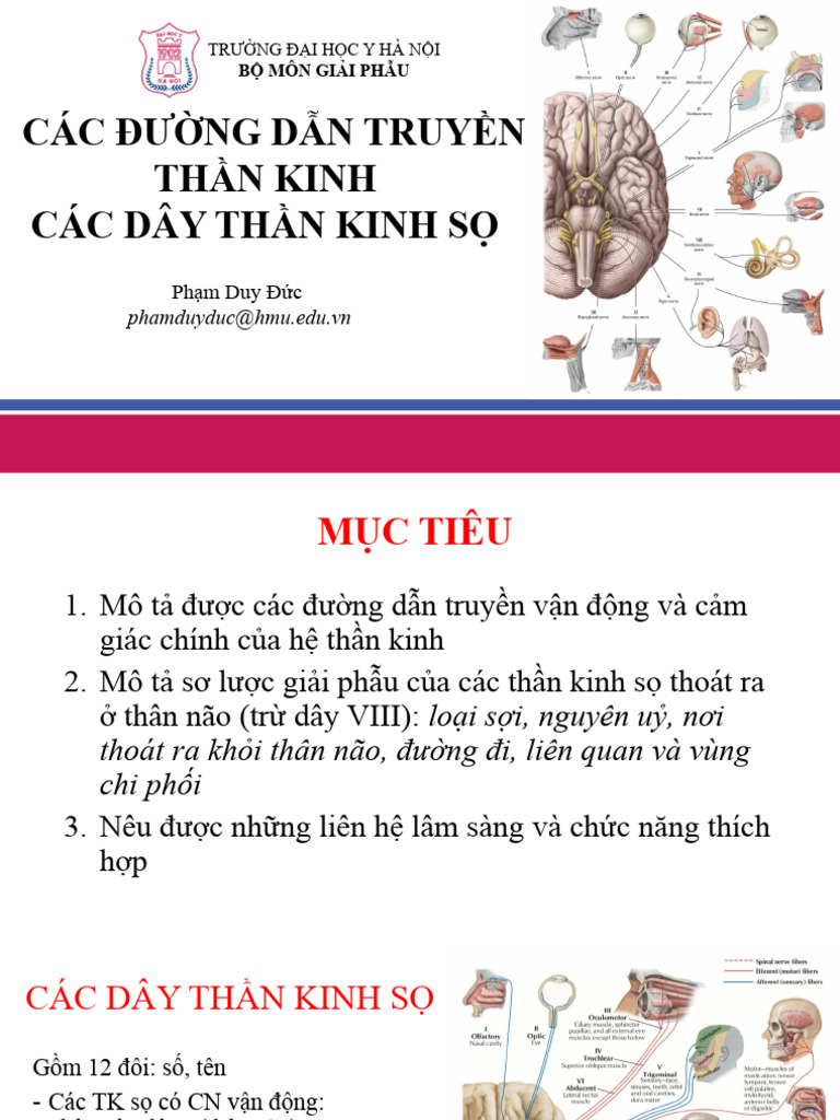 TK So-Duong Dan Truyen TK | PDF